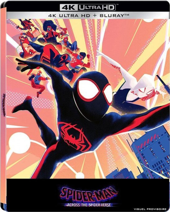 Spider-Man : Across The Spider-Verse (4K + 2D) - France - Blusteel
